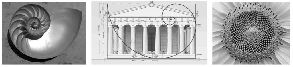 ARC 1010 – Classical Architecture Workshop (Spring 2021) – Tetrad ...